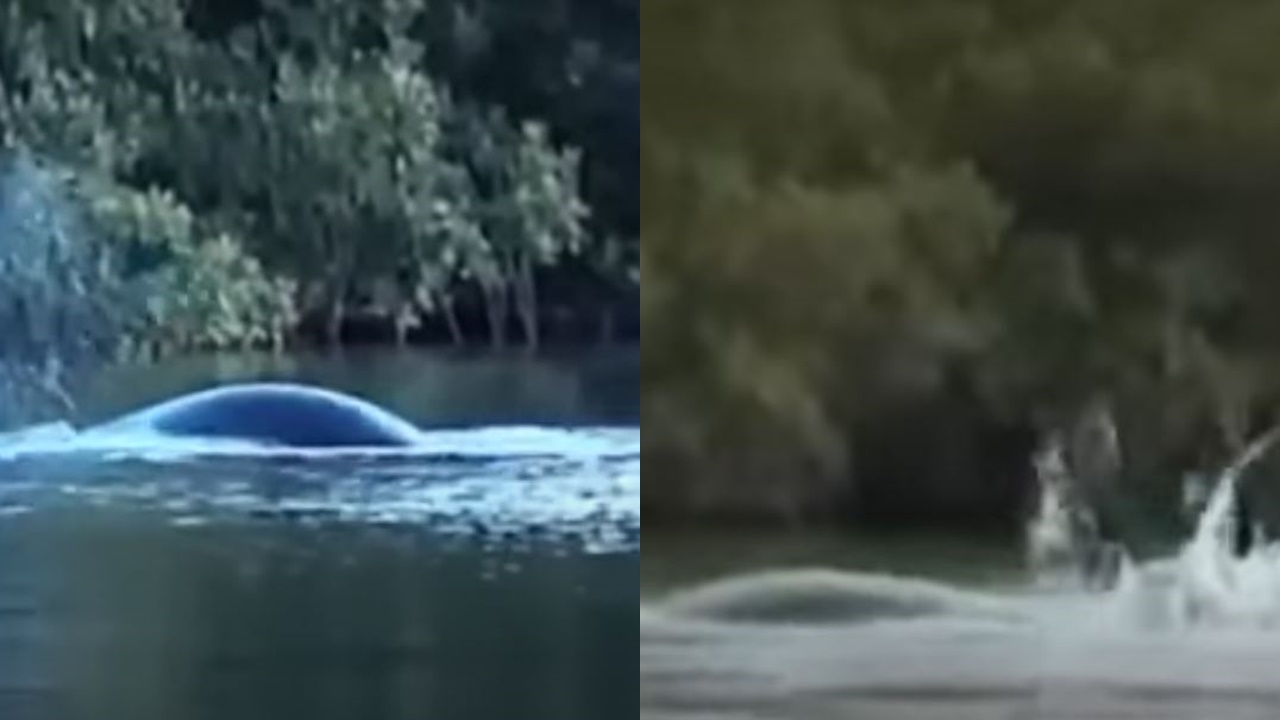 New Loch Ness monster sighting sparks debate