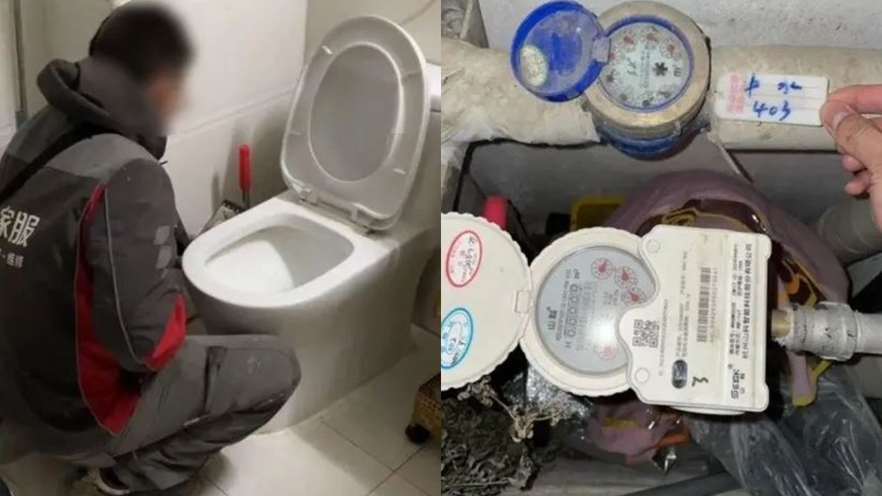 Couple stunned after six months of drinking toilet water without ... Couple stunned after six months of drinking toilet water without ...