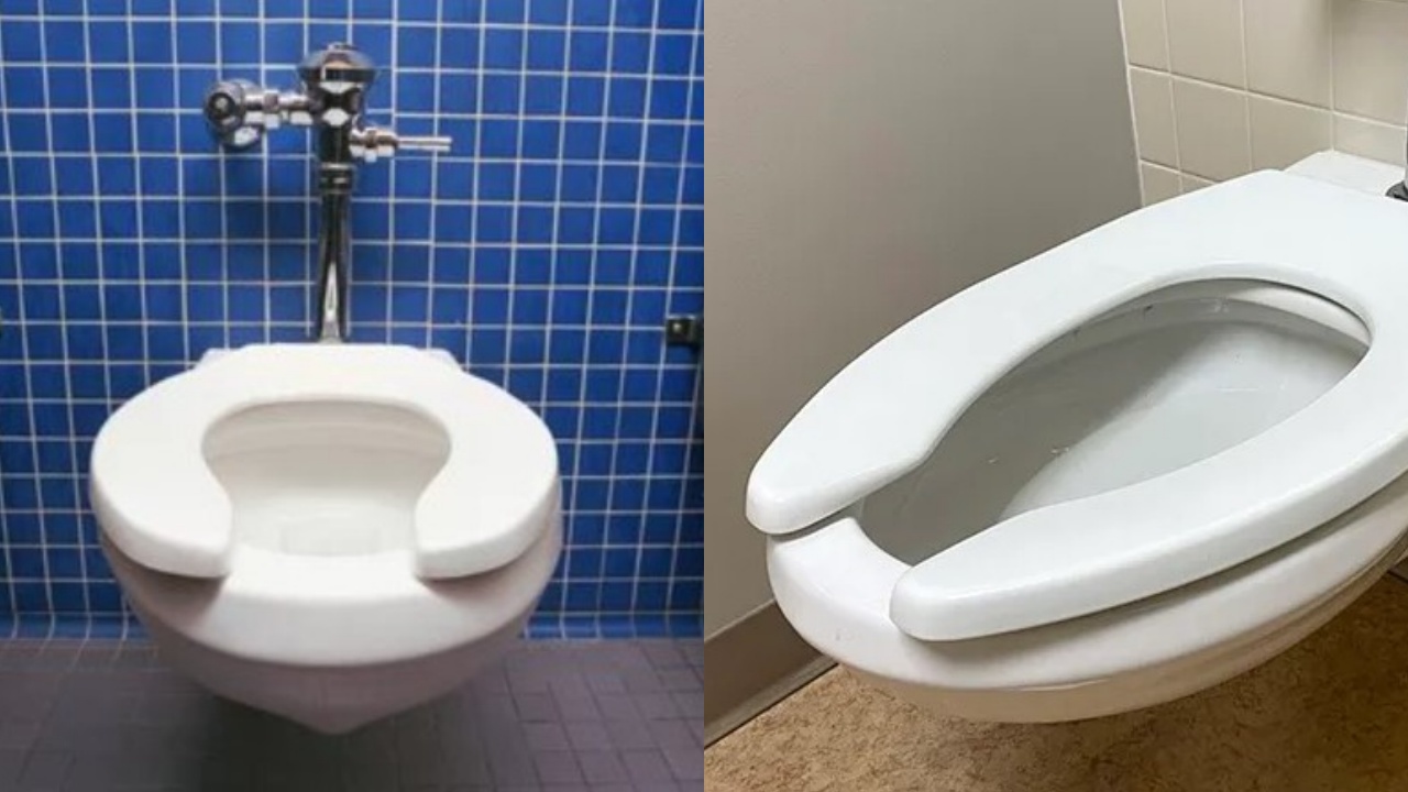 People are just realizing reason American women's toilet have a gap in ... People are just realizing reason American women's toilet have a gap in ...